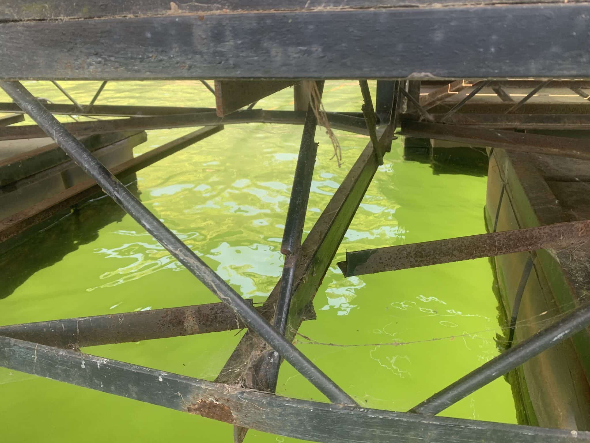 Dock Repair 101: Is It Time to Repair or Replace Your Dock?